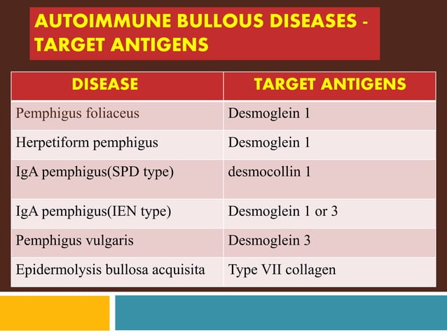 Autoimmune bullous lesions of skin | PPTX | Skin and Dermatology ...