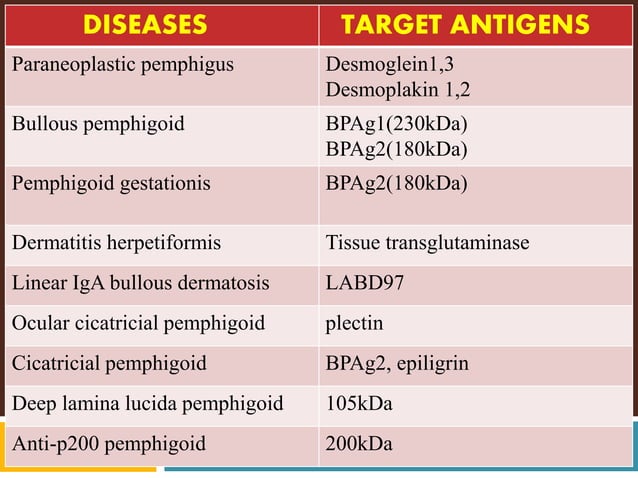 Autoimmune bullous lesions of skin | PPTX | Skin and Dermatology ...
