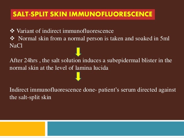 Autoimmune bullous lesions of skin