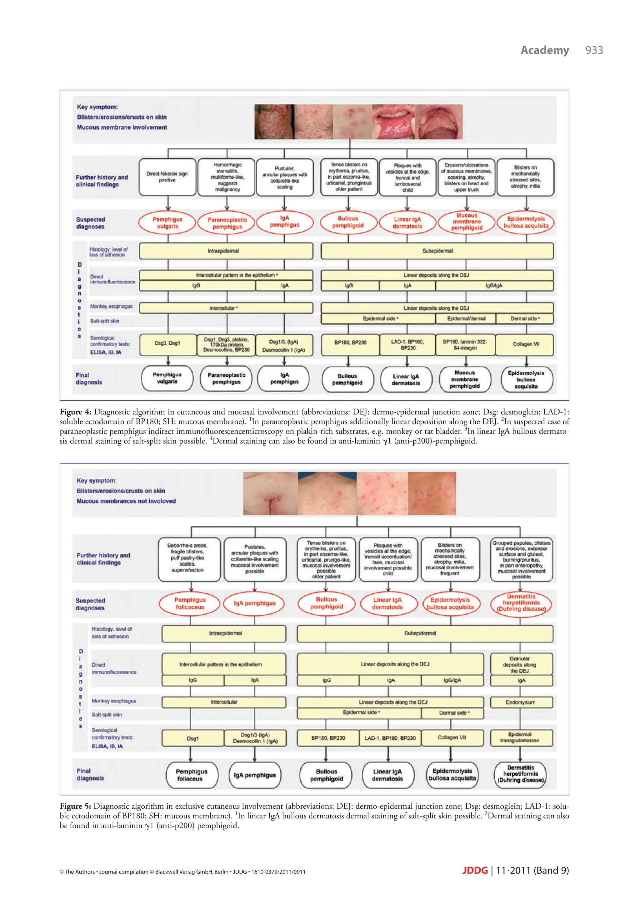 Autoimmune bullous skin diseases. diagnosis and therapy.pdf