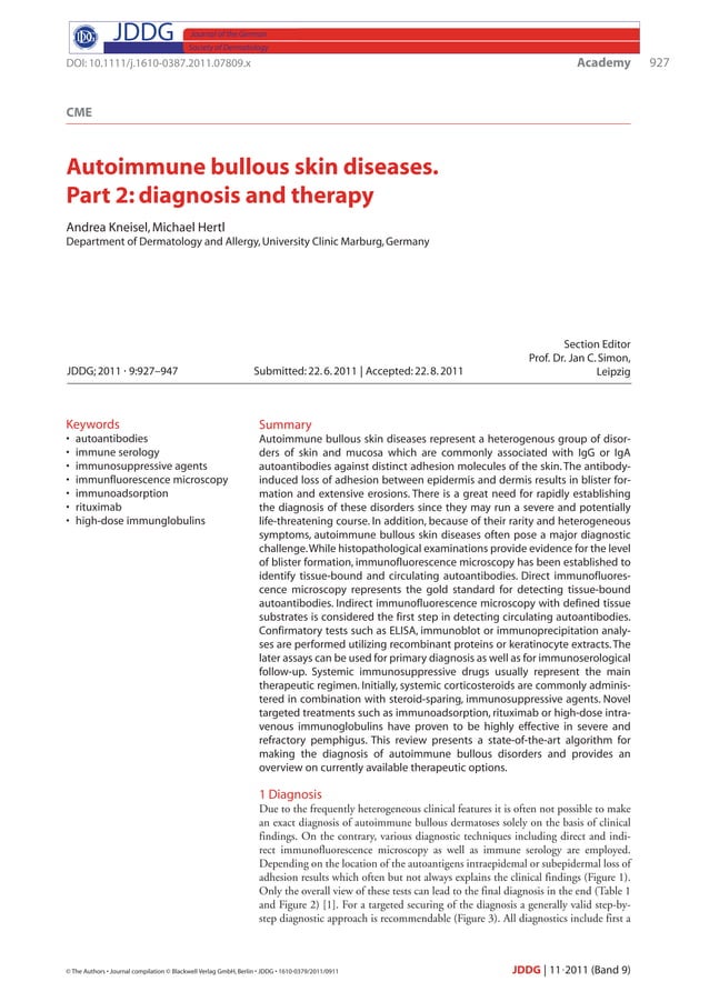 Dermatological Examination Of Bullous Diseases – WDXO