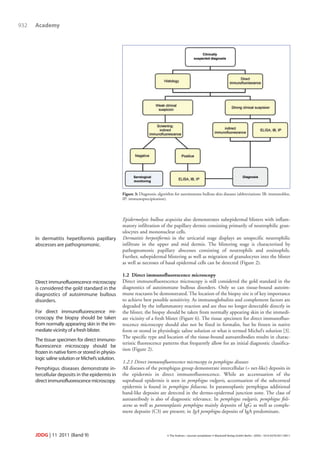 Autoimmune bullous skin diseases. diagnosis and therapy.pdf