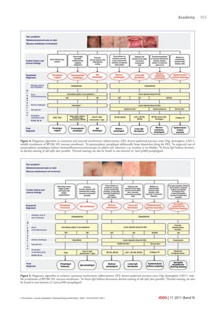 Autoimmune bullous skin diseases. diagnosis and therapy.pdf