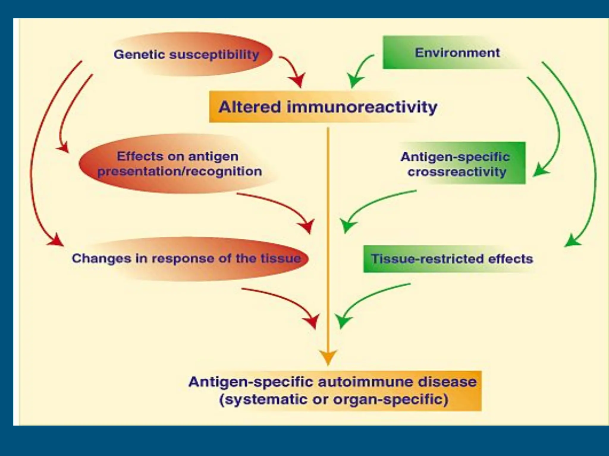 Autoimmune disease .Types diagnosis and treatment | PPT