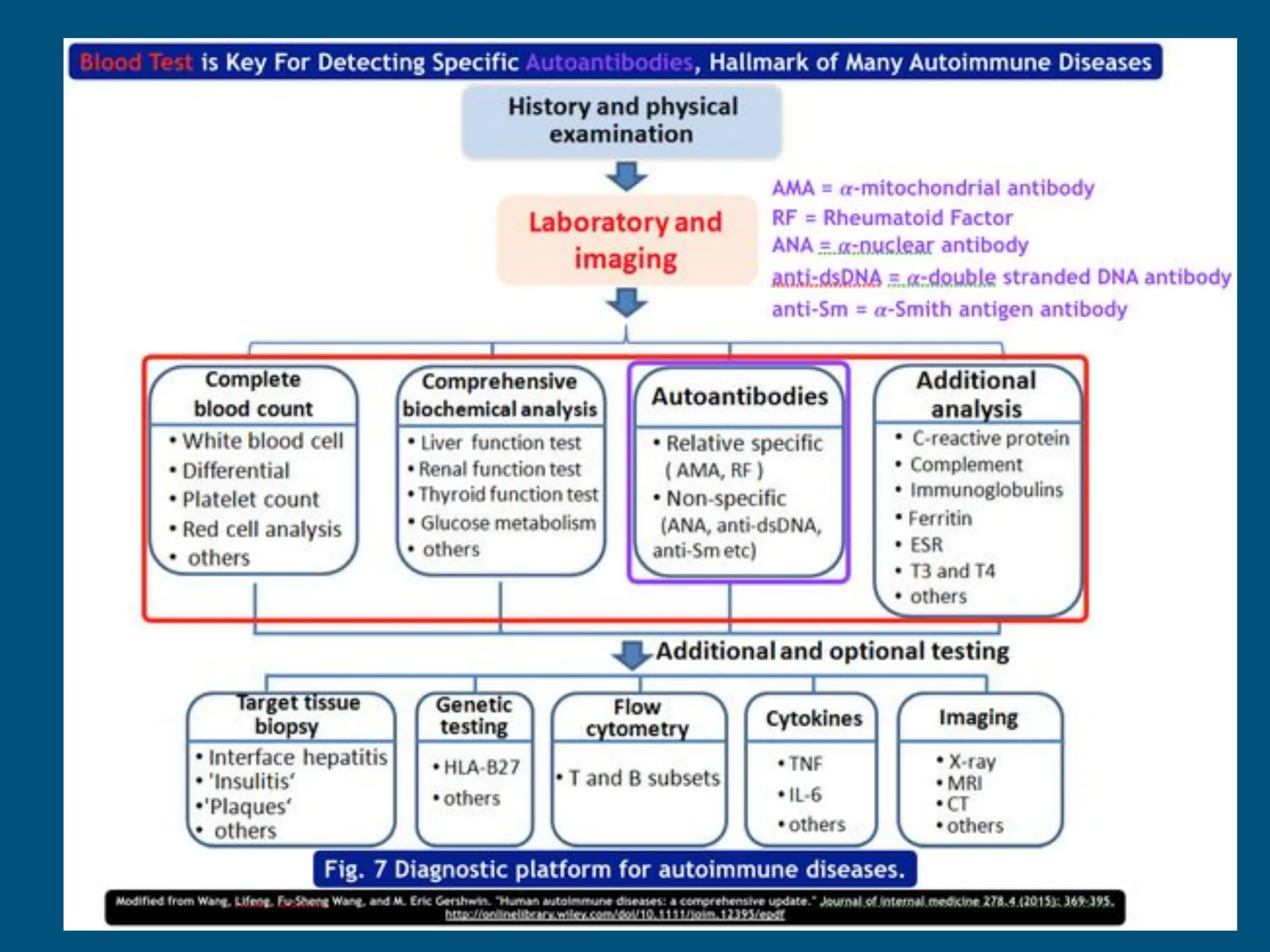 Autoimmune disease .Types diagnosis and treatment | PPT