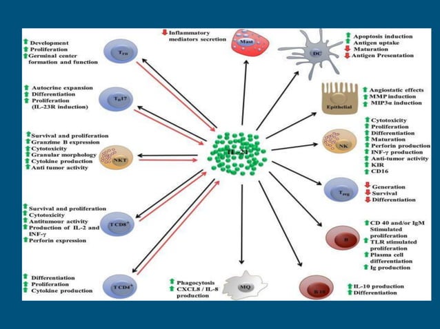 Autoimmune disease .Types diagnosis and treatment | PPT