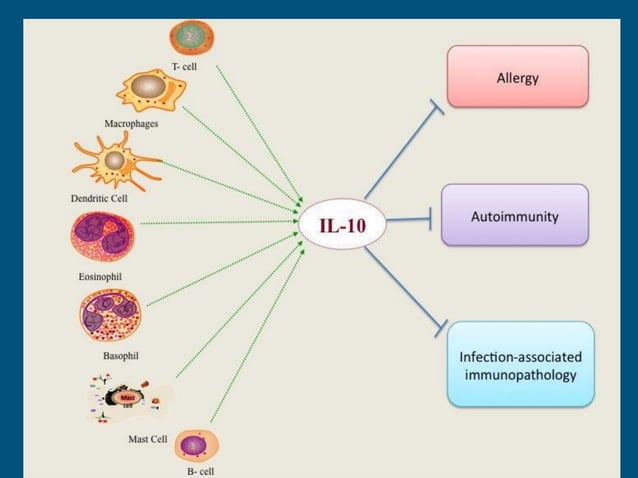 Autoimmune disease .Types diagnosis and treatment | PPT