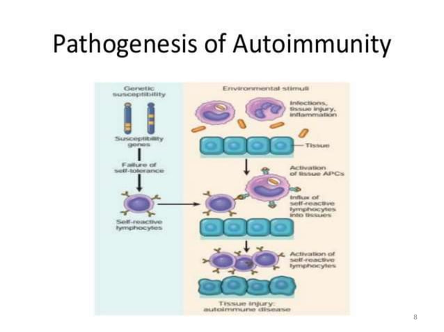Autoimmune diseases | PPTX | Genetics | Science