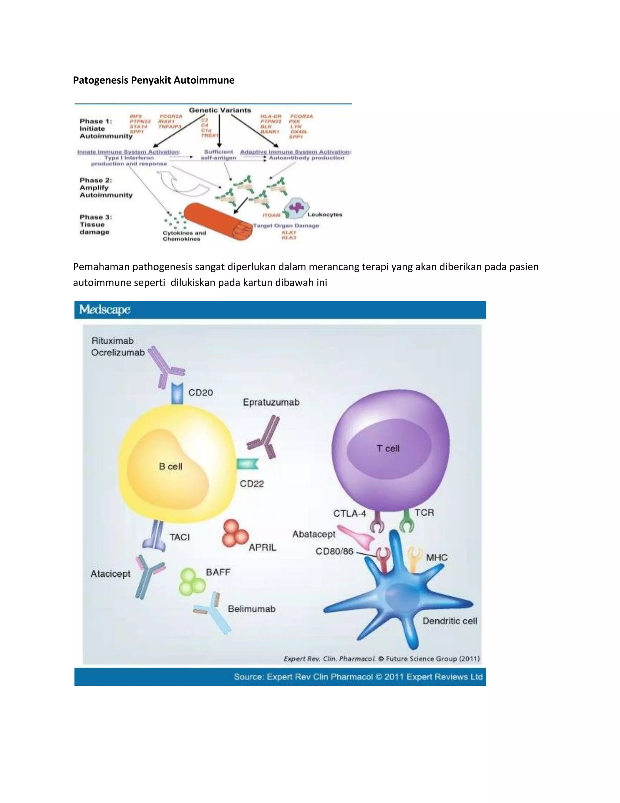 Autoimmune diseases clinical spectrum and diagnosis approach | DOCX