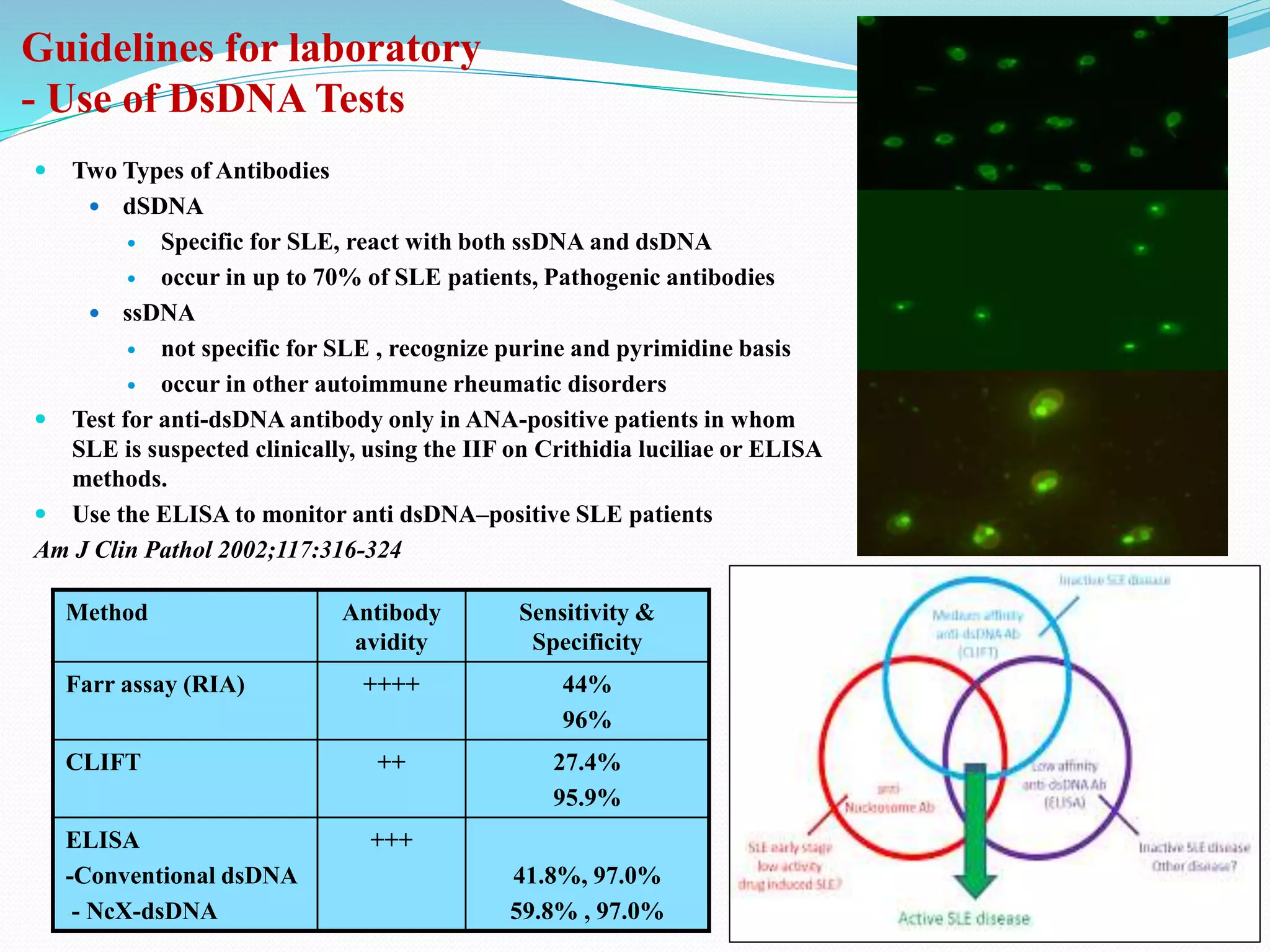 Autoimmune diseases diagnostic challenges | PPTX