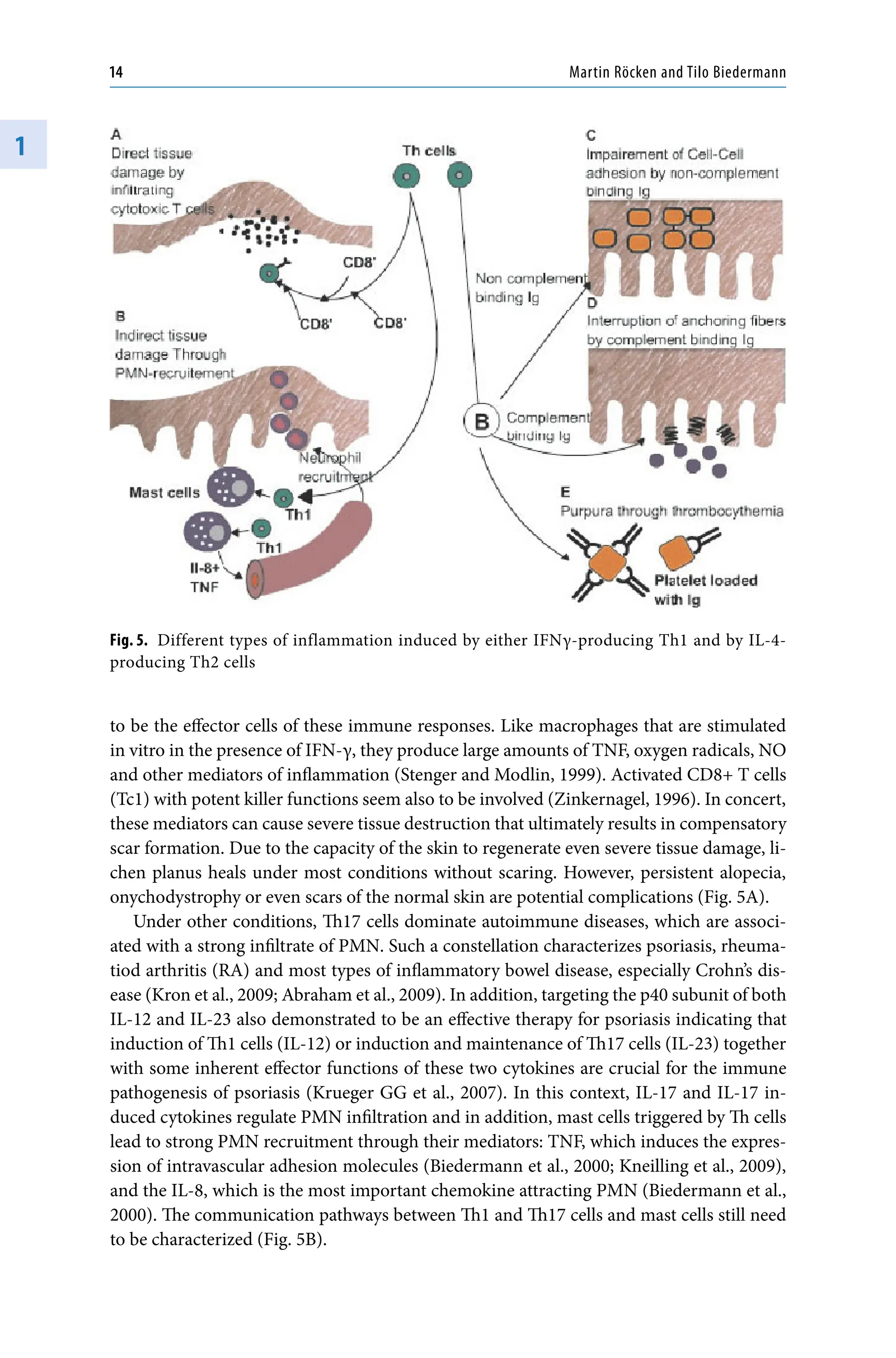 Autoimmune Diseases of the Skin_ Pathogenesis, Diagnosis, Management ...