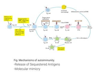 Autoimmune disorders of pituitary gland | PDF
