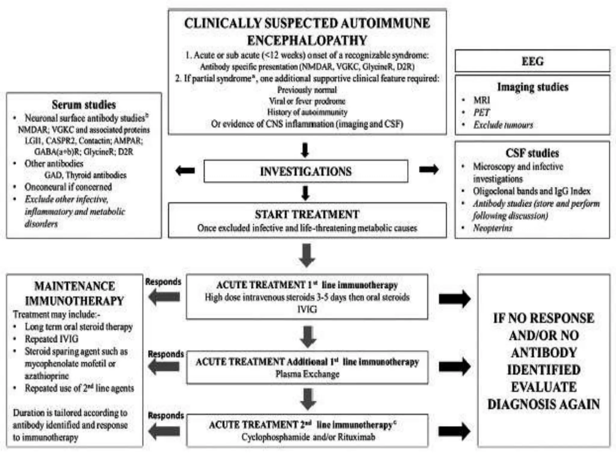 Autoimmune encephalitis | PPTX