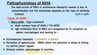 Autoimmune Hemolytic Anemia .pdf |Hematology lecture | | PDF