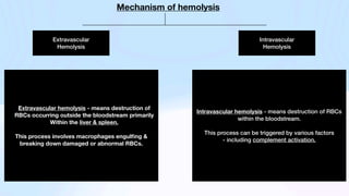 Autoimmune Hemolytic Anemia .pdf |Hematology lecture | | PDF