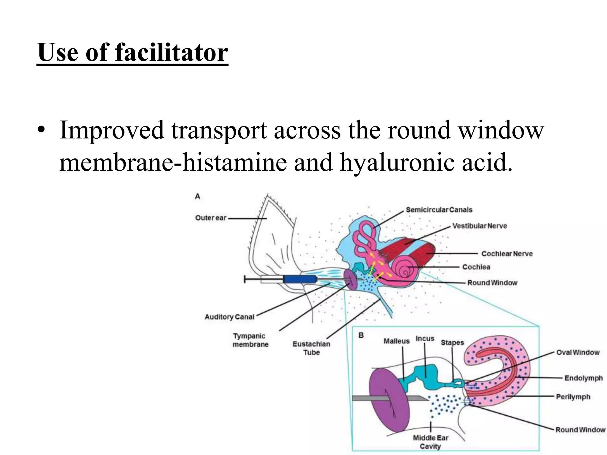 Autoimmune inner ear disease(AIED) | PPTX