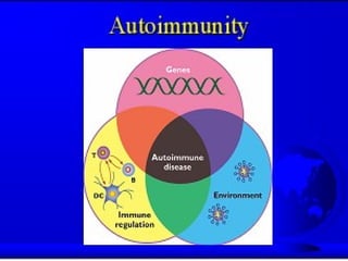 Autoimmune lecture of microbiology pptppt | PPT