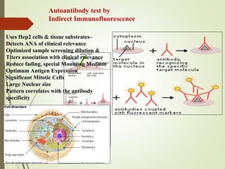 Autoimmune liver disease laboratory diagnosis | PPT