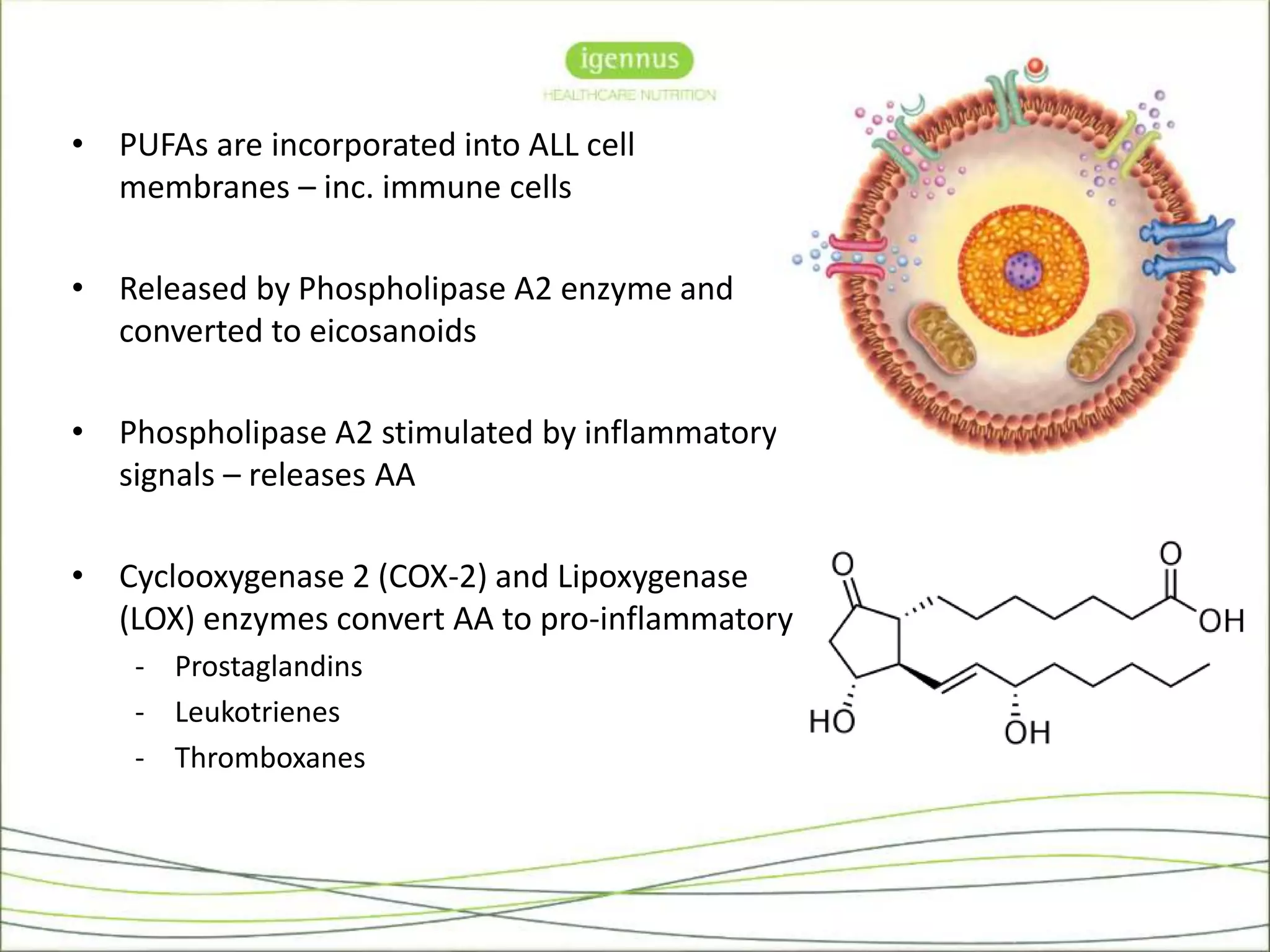 Inflammation and autoimmune conditions, with Sophie Tully | PPTX