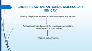 Autoimmunity | PPTX