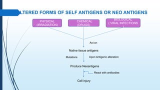 Autoimmunity | PPTX