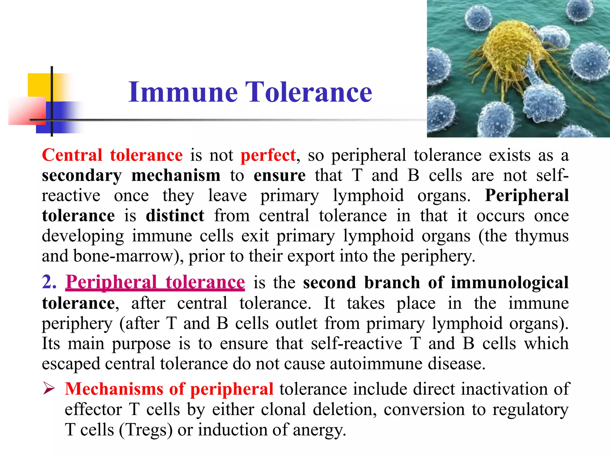 Autoimmunity and Tolerance | PPTX