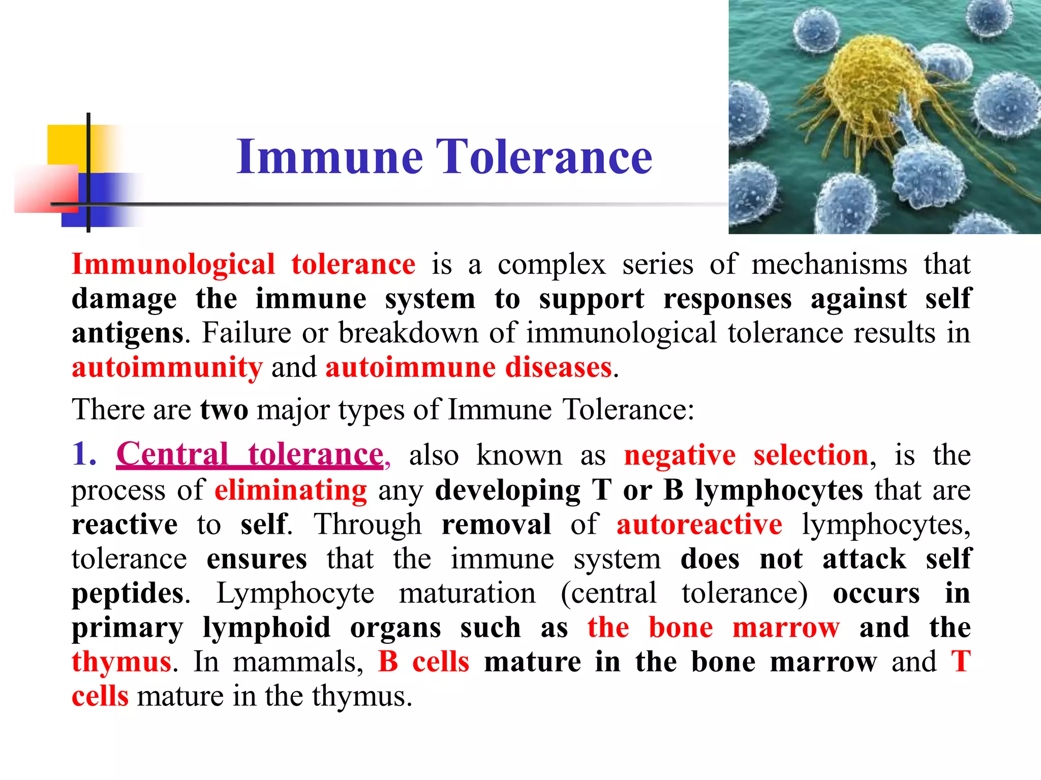 Autoimmunity and Tolerance | PPTX