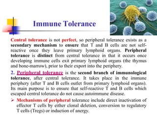 Autoimmunity and Tolerance | PPTX | Biological Sciences | Science