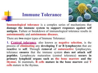 Autoimmunity and Tolerance | PPT