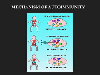 Autoimmunity.ppt