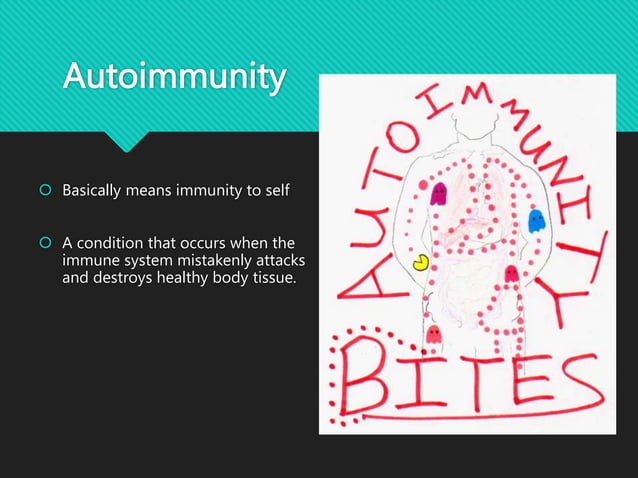 Autoimmunity.ppt | Blood Disorders | Diseases and Conditions