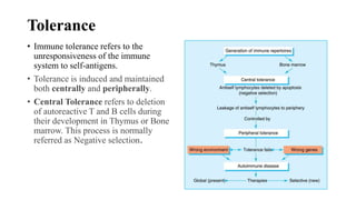 Autoimmunity and Autoimmune diseases.pptx