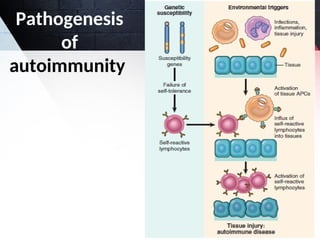 Pathology lecture Autoimmunity diseases.ppt