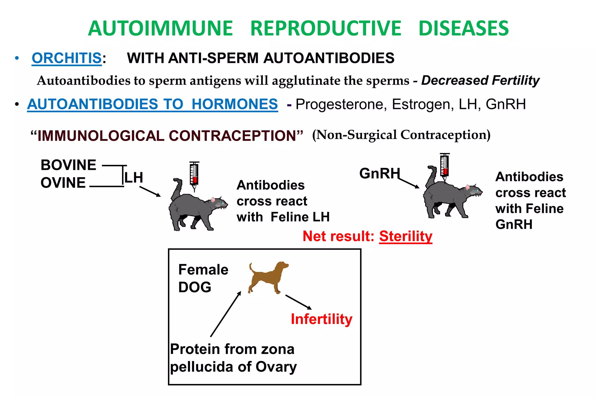 Autoimmunity-and-Autoimmune-disorders.pdf