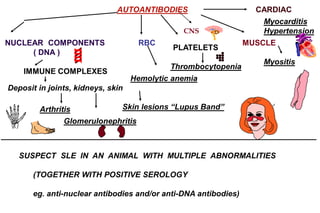 Autoimmunity-and-Autoimmune-disorders.pdf