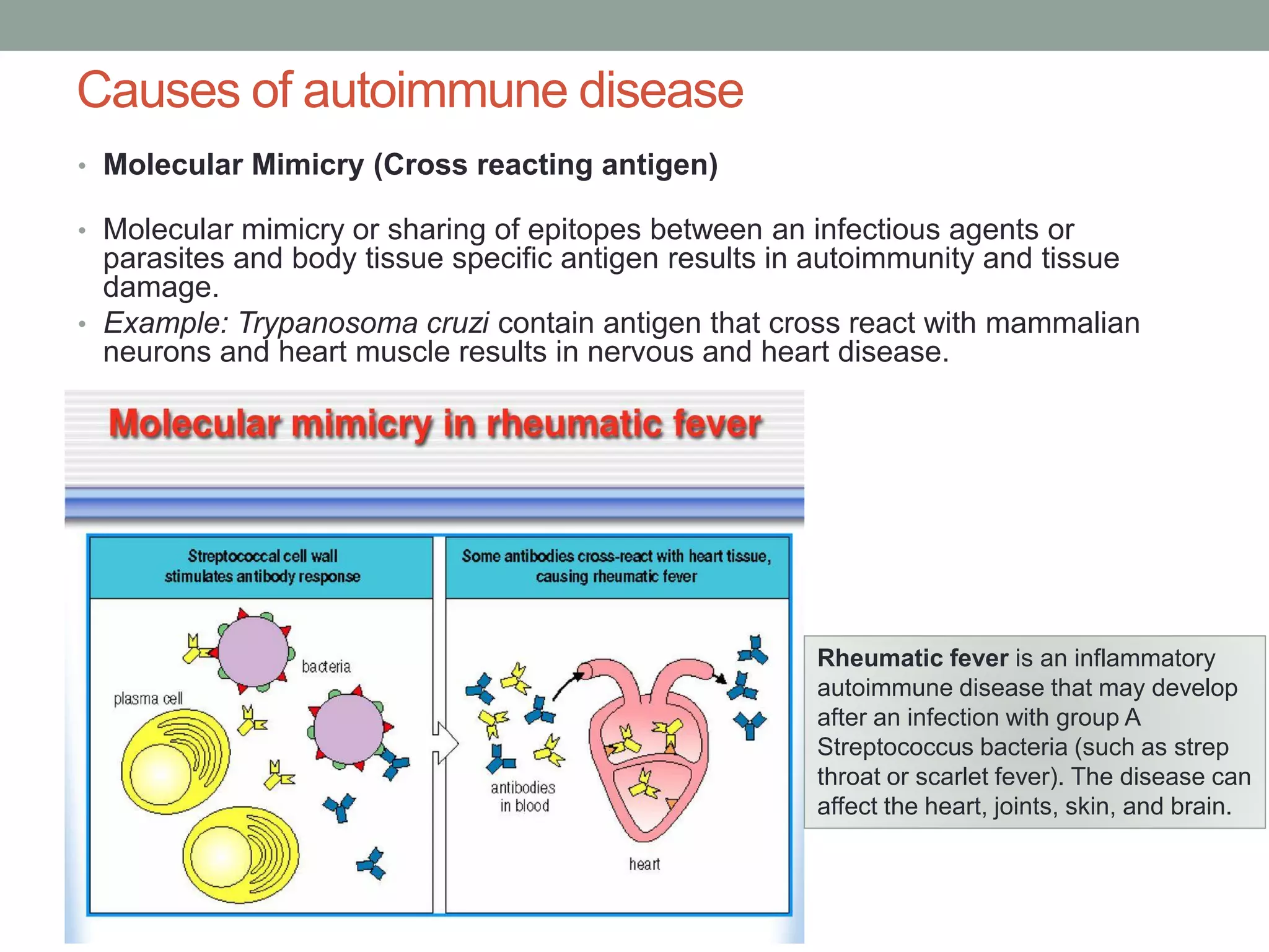 Autoimmunity | PDF