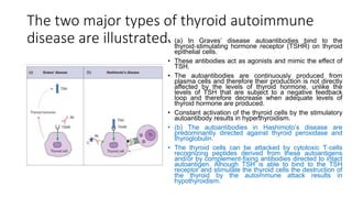 Autoimmunity and autoimmune disease | PPTX