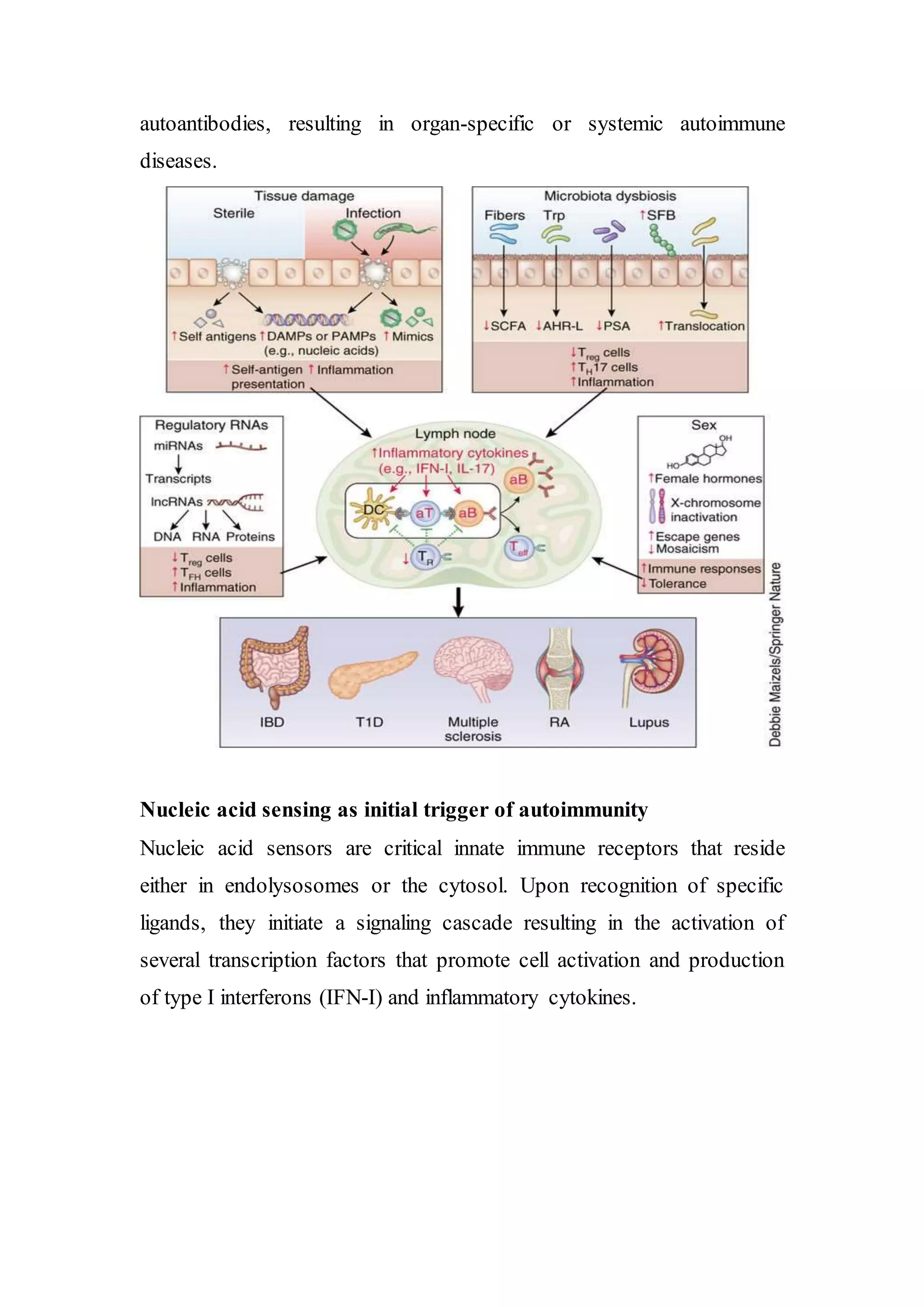 Autoimmunity and autoimmune diseases | DOCX