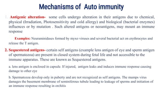 Auto immunity and immunodeficiencies | PPTX