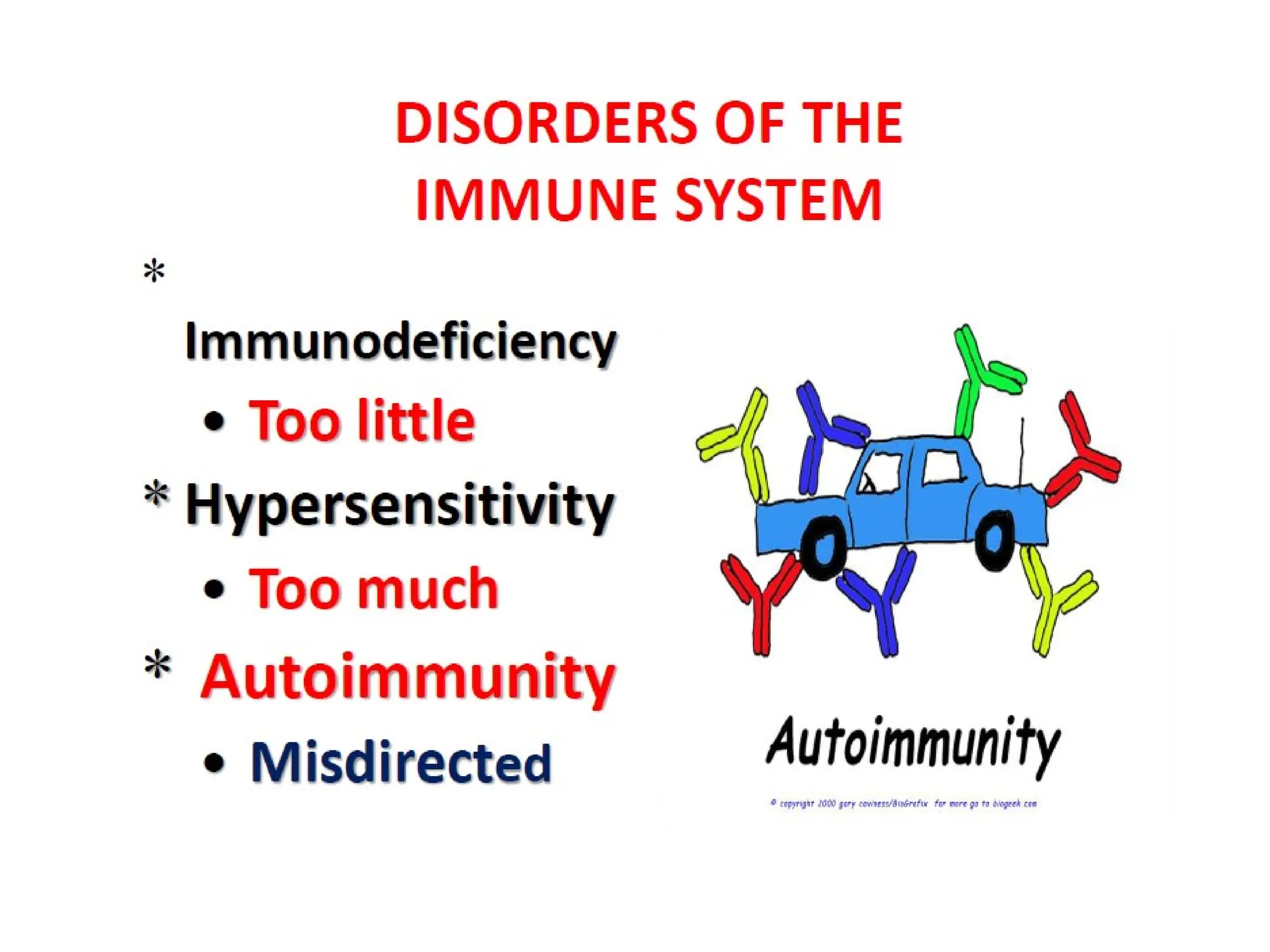 Autoimmunity HIMS.pptx mechanisms and classification | PPTX