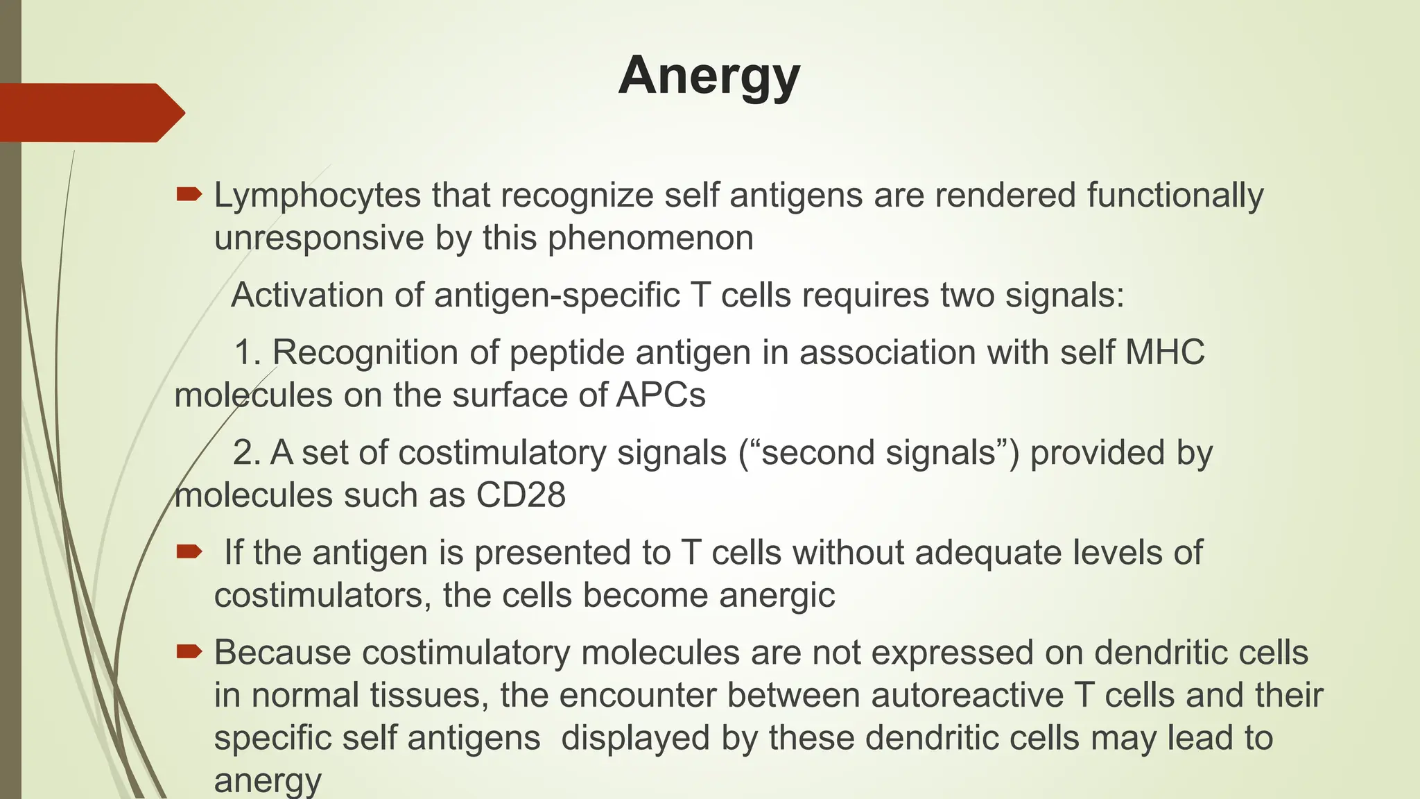 AUTOIMMUNITY PPT.pptx pathogenesis, tolerance | PPTX