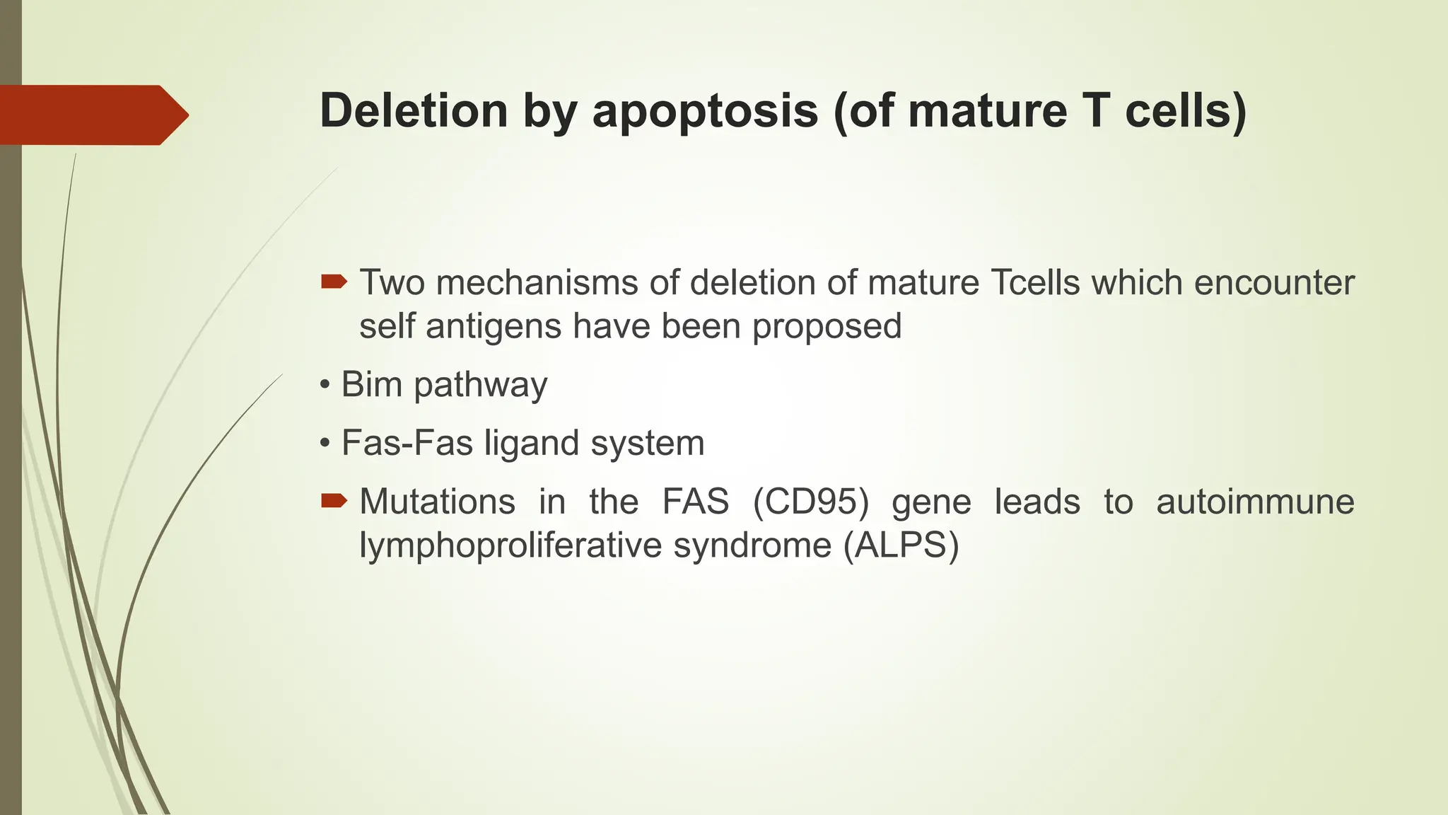 AUTOIMMUNITY PPT.pptx pathogenesis, tolerance | PPTX