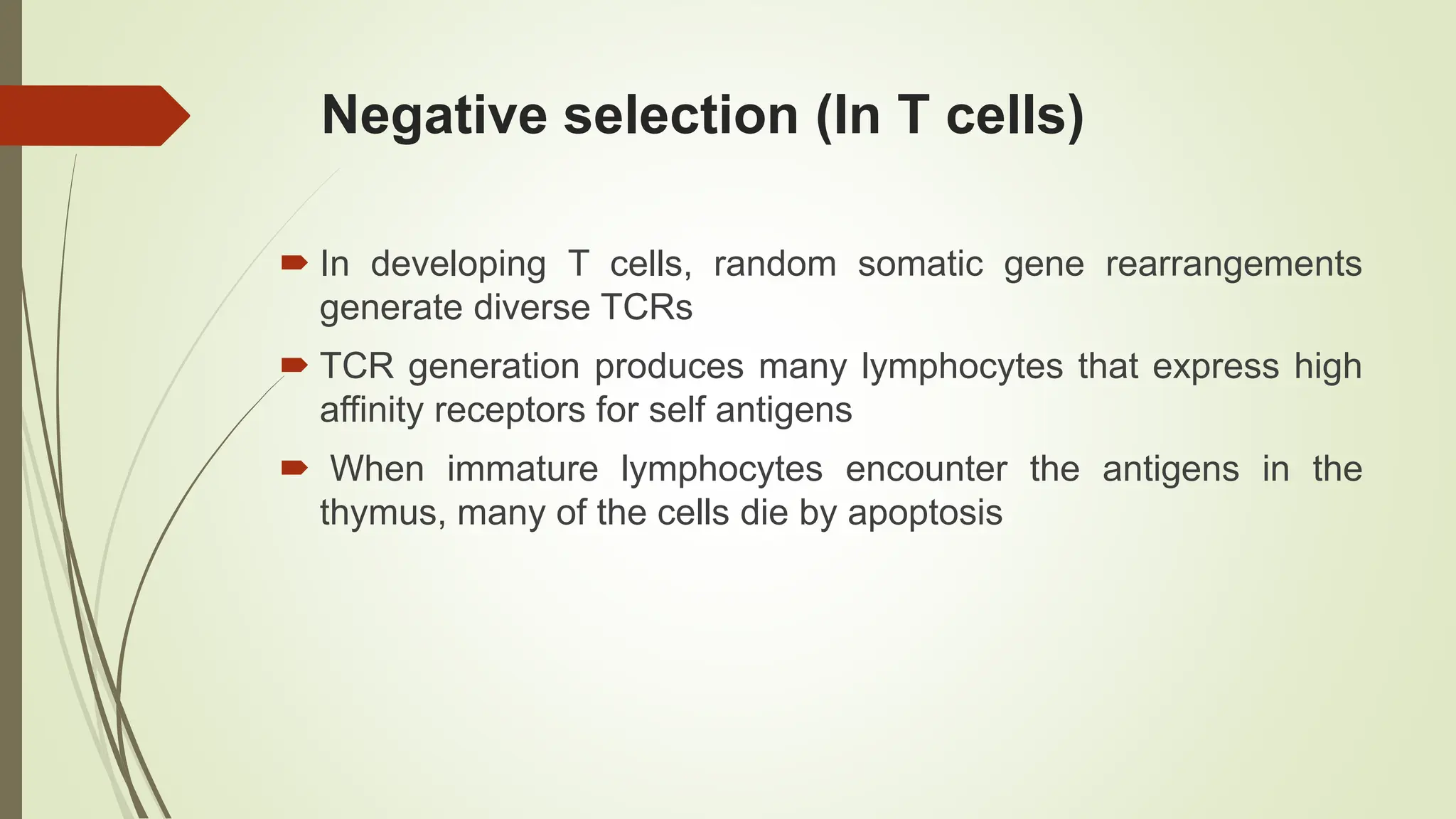 AUTOIMMUNITY PPT.pptx pathogenesis, tolerance | PPTX