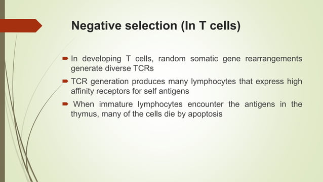 AUTOIMMUNITY PPT.pptx pathogenesis, tolerance | PPTX | Genetics | Science