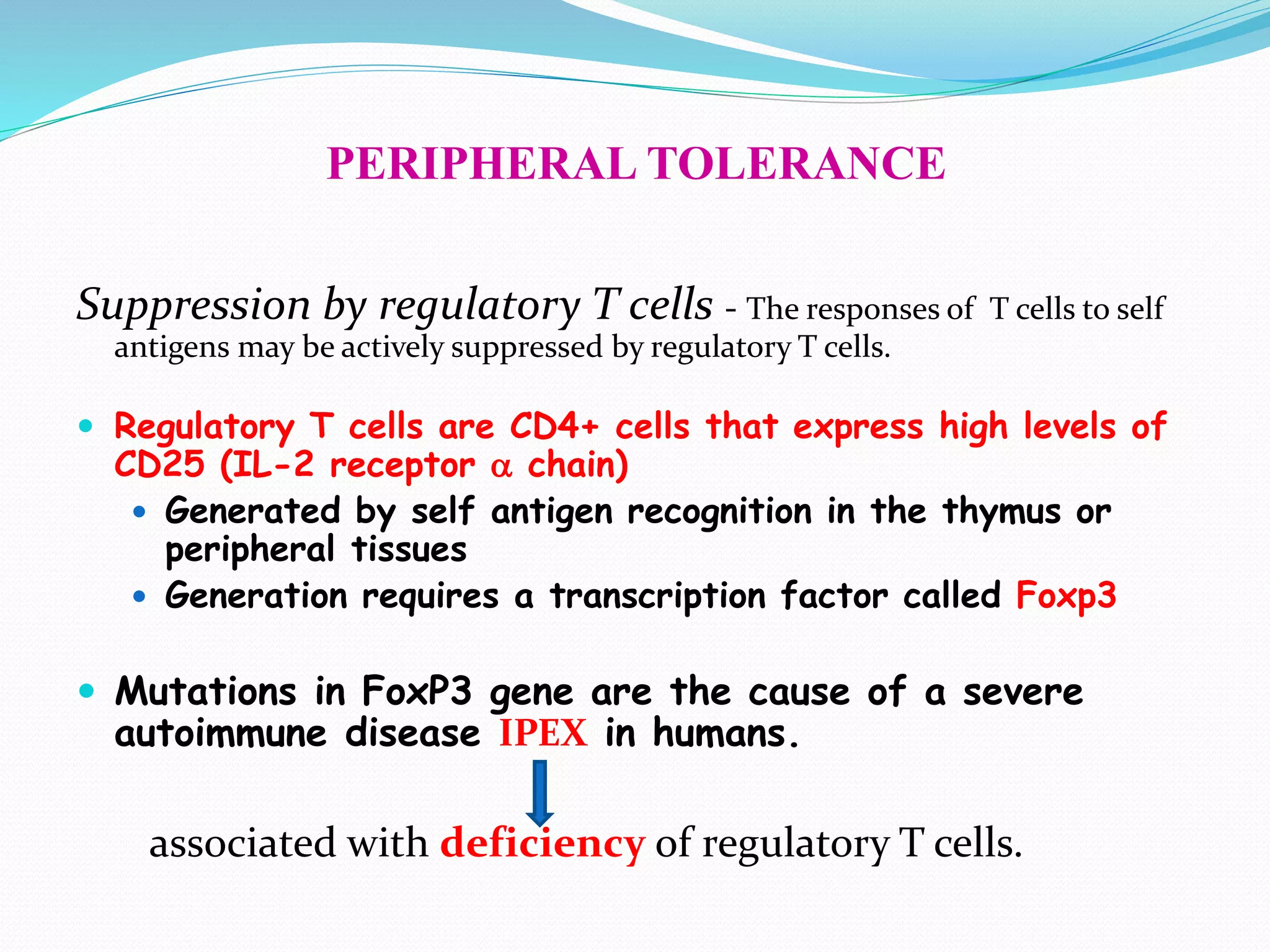 Autoimmunity | PPTX