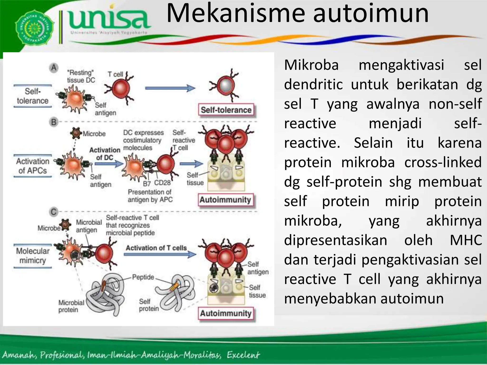 Jenis-jenis autoimun yang perlu diketahui | PPT
