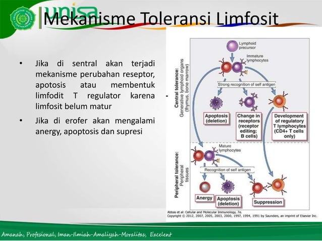 Jenis-jenis autoimun yang perlu diketahui | PPT
