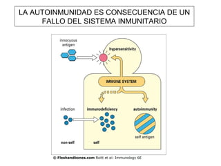 Autoinmunidad y autotolerancia | PPT