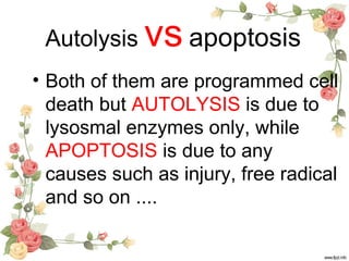 Autolysis pathology ppt | PPT