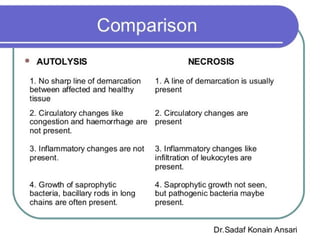 Autolysis pathology ppt | PPT